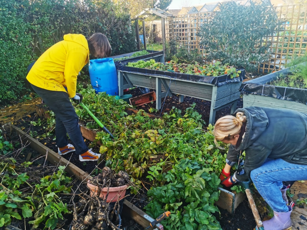 Rushcliffe allotments and green social prescribing - NHS Nottingham and ...